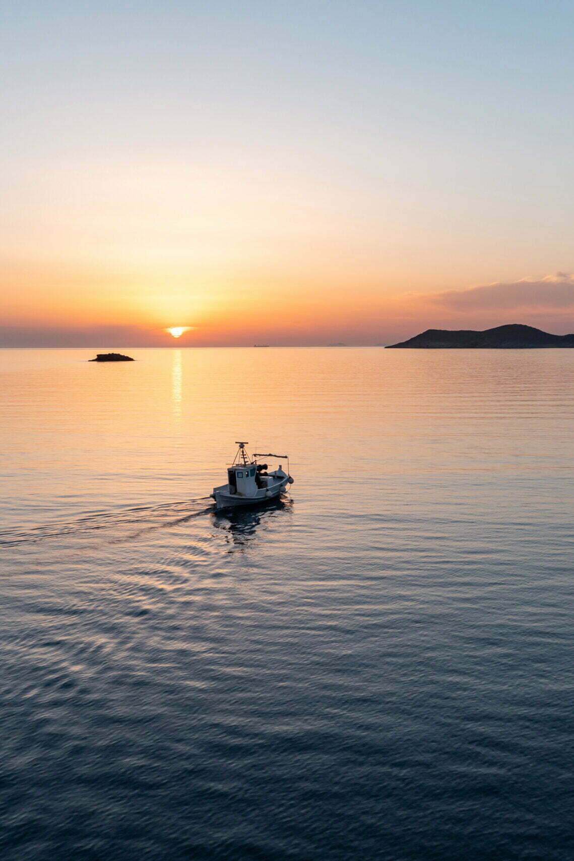 Fish Order Online | Nippers Shellfish | Order Cornwall's Best Fish