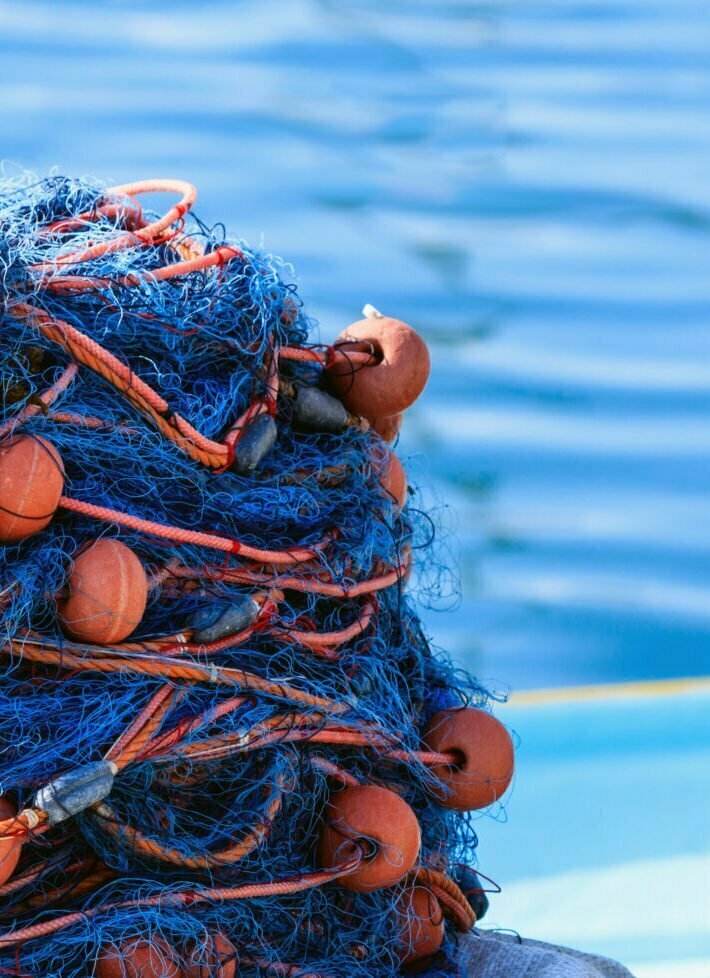 Fish Order Online | Nippers Shellfish | Order Cornwall's Best Fish