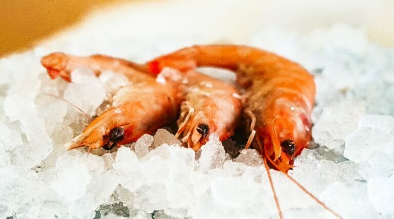 Fish Order Online | Nippers Shellfish | Order Cornwall's Best Fish