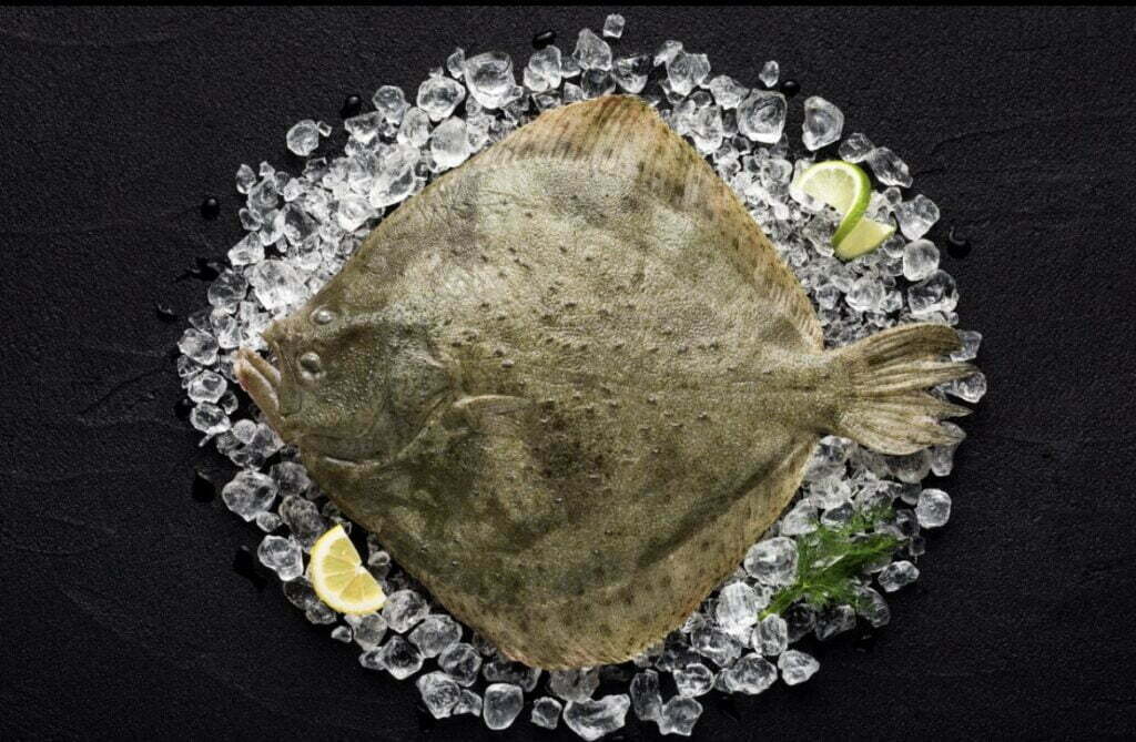 Home - Nippers Shellfish