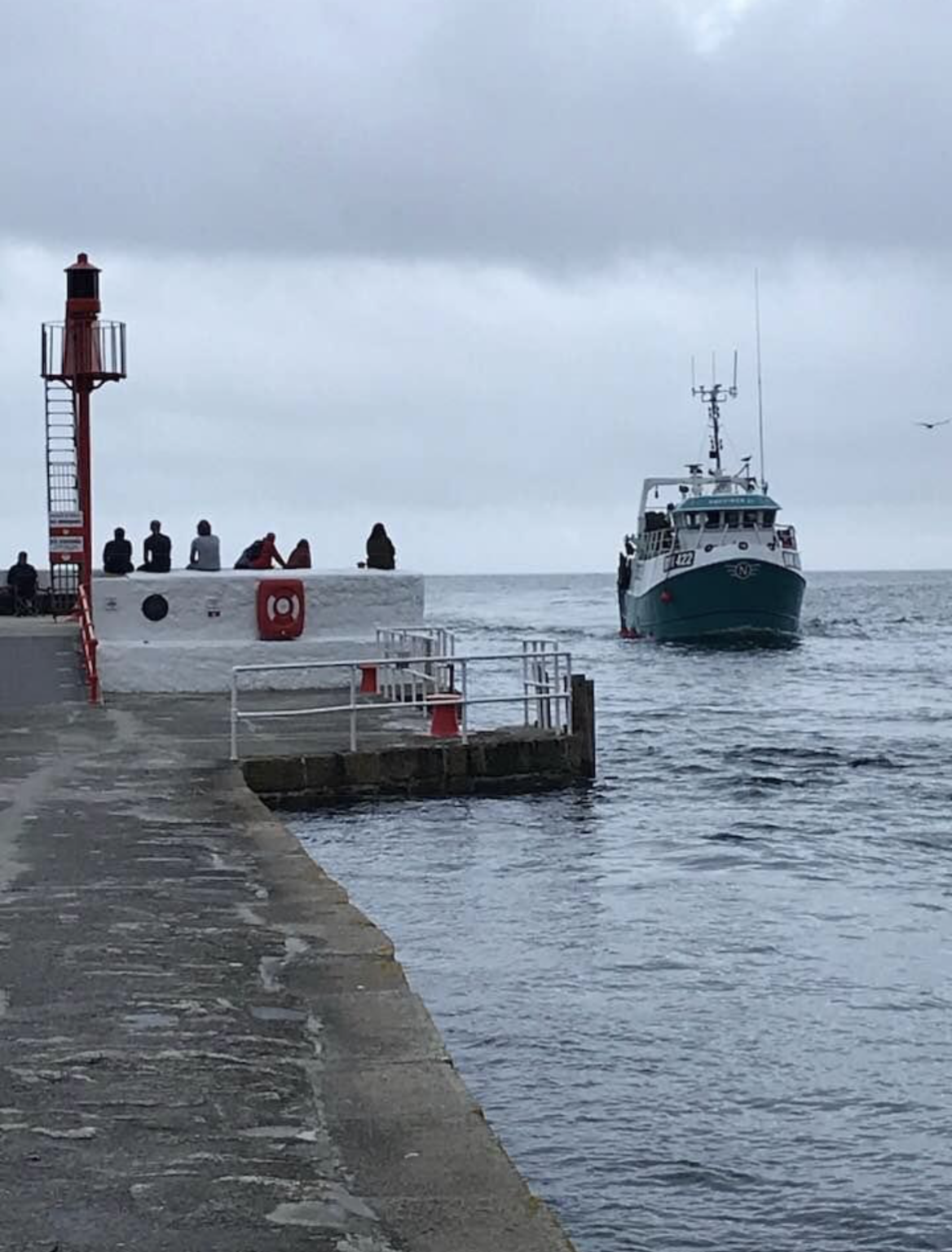 Pengelly's Famous Fishmongers | Cornwall's Freshest Fish | Online